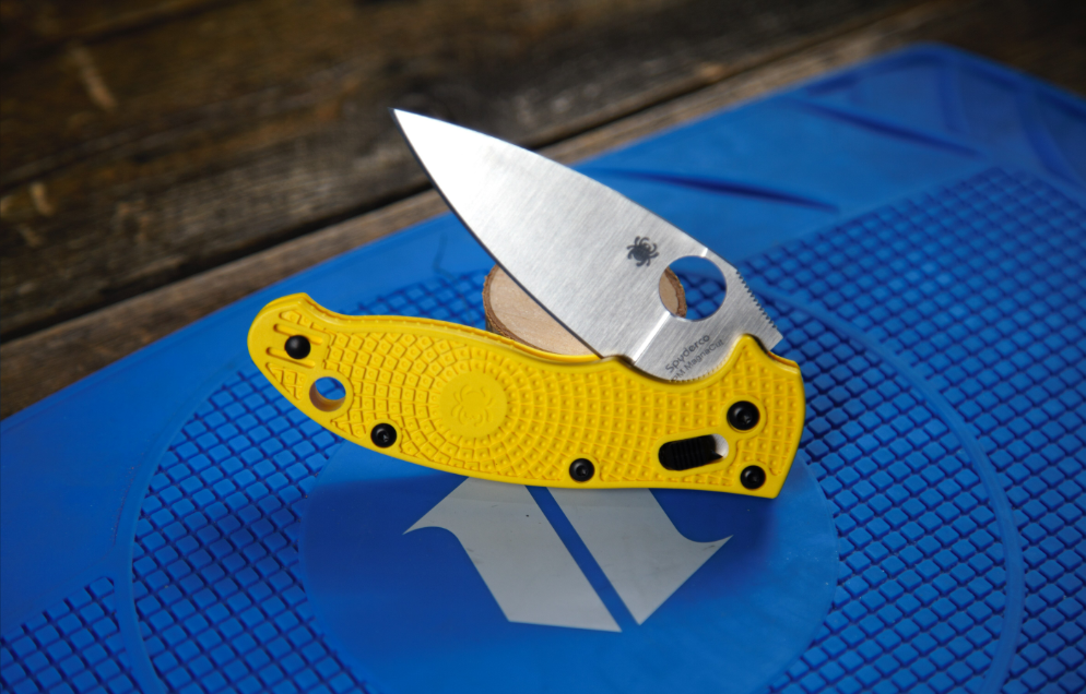 MagnaCut: Answering All Your Queries – EDC News and Reviews